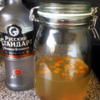 Vodka Violette - Vodka Arrangée - Recette, ingrédients et conseils